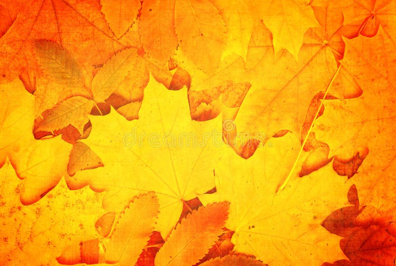 Grunge fall background stock photo. Image of background - 2701410