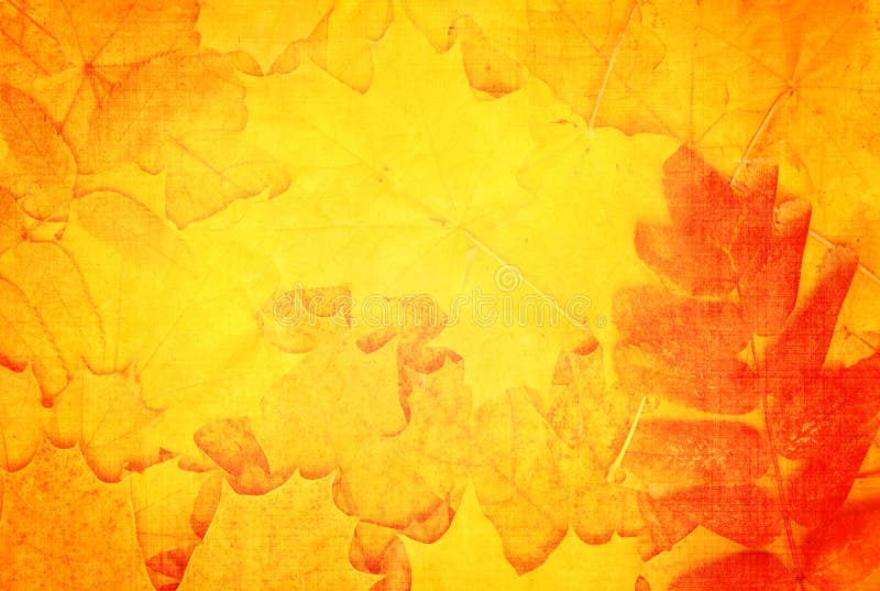 Grunge Fall Background with Old Paper Texture Stock Image - Image of ...