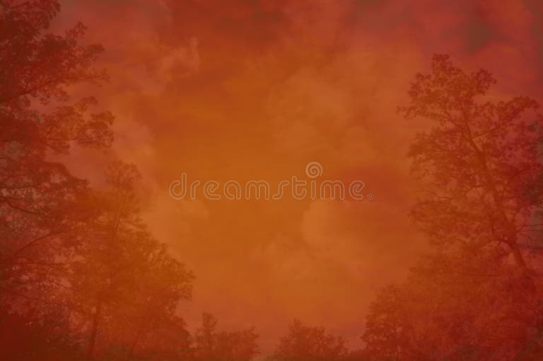 Background Forest Grunge Stock Illustrations – 40,513 Background Forest ...