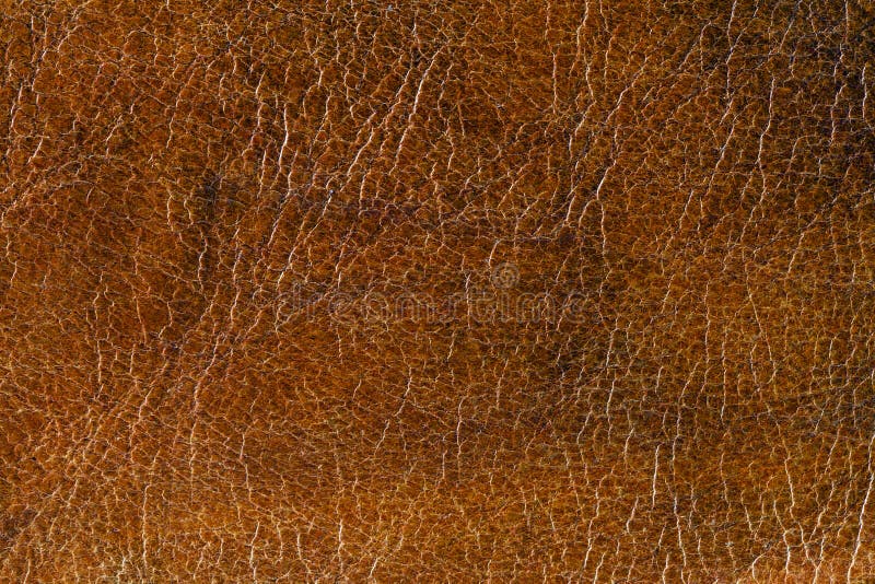 Grunge Leather Surface Texture Background Stock Photo - Image of fabric ...
