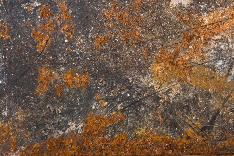 Grunge metal texture stock photo. Image of abstract, rusty - 6101732