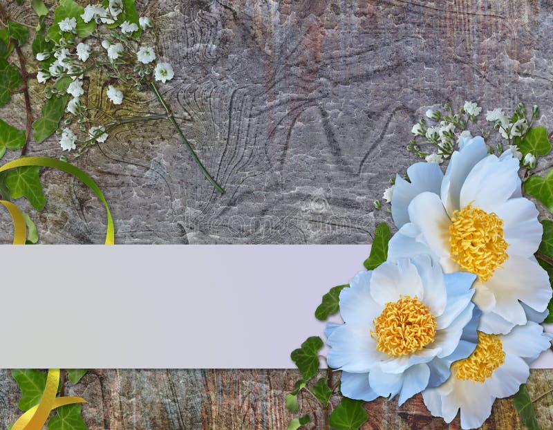 Docket Cover Design Stock Illustrations – 303 Docket Cover Design Stock ...