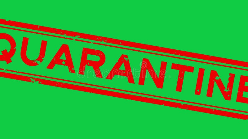 Grunge Red Quarantine Word Square Rubber Stamp Zoom on Green Background ... Grunge Red Quarantine Word Square Rubber Stamp Zoom on Green Background ...
