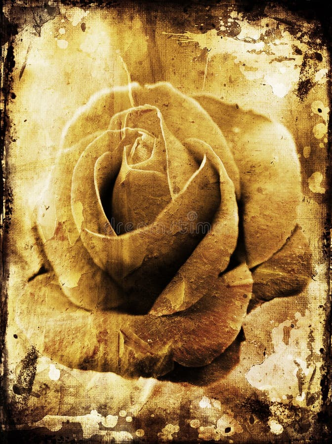 Grunge rose stock vector. Illustration of heart, background - 1725326