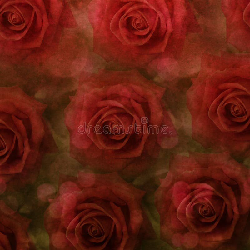 Grunge Roses Background ( 1 Of Set) Stock Photo - Image of copy, aroma ...