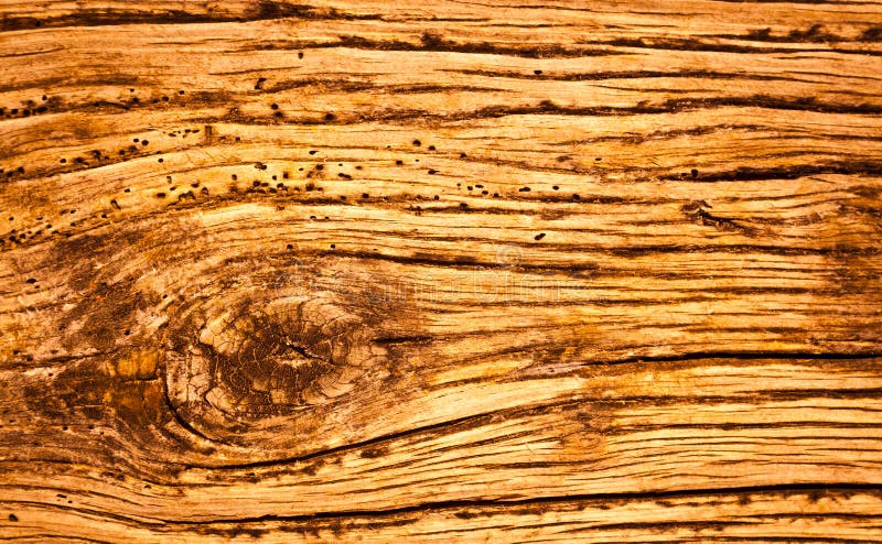 Grunge Rotten Wood Background Stock Photo - Image of floor, carpentry ...