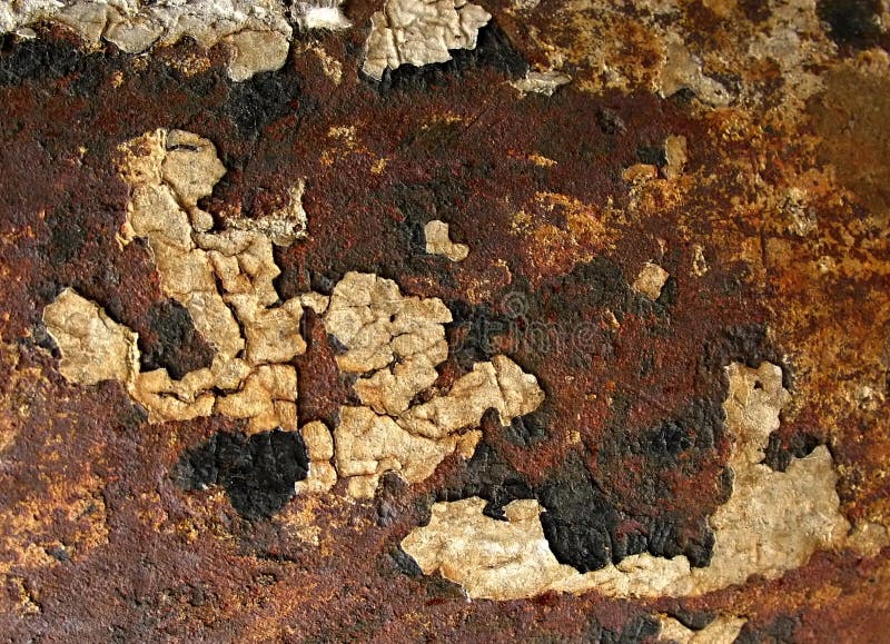 Grunge rust texture stock image. Image of abstract, grunge - 1443755