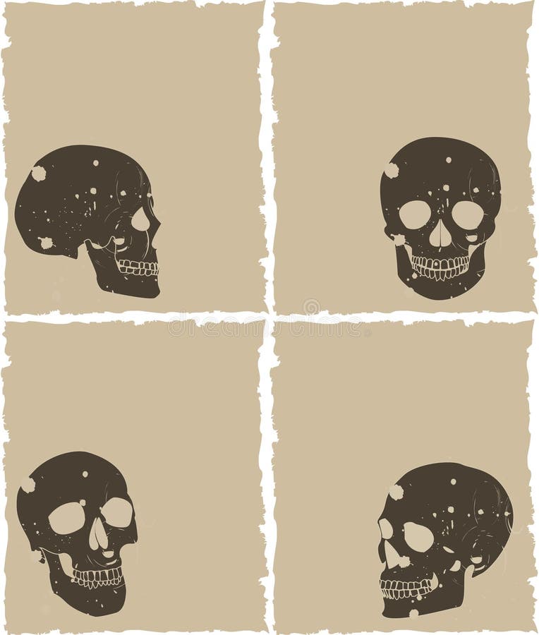 Skull in toque set stock vector. Illustration of meat - 27310885