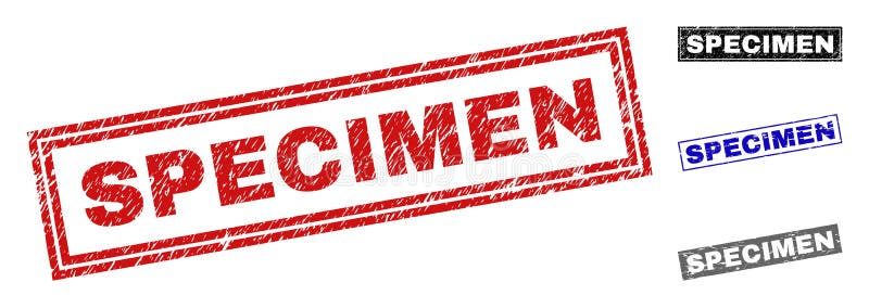 Specimen in Red Rectangular Stamp Stock Illustration - Illustration of ...