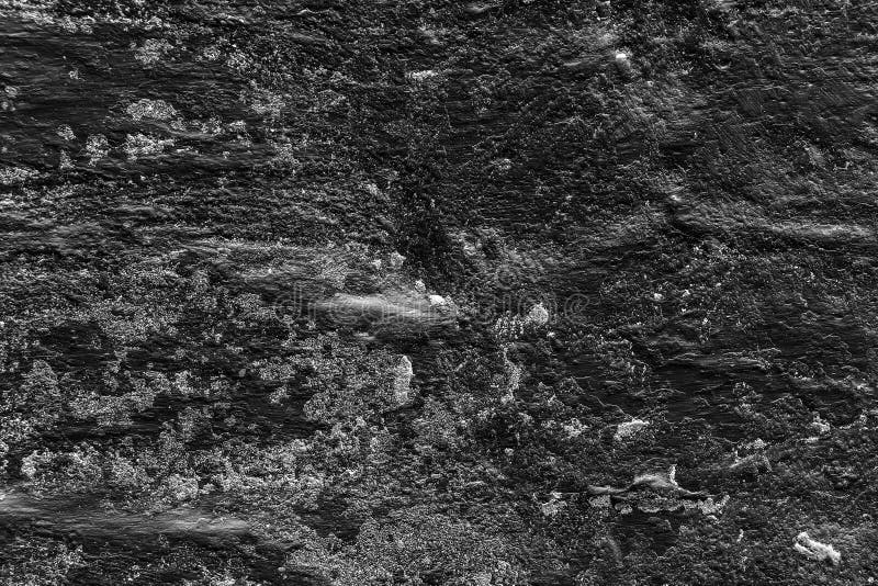 517 Bnw Texture Stock Photos - Free & Royalty-Free Stock Photos from ...