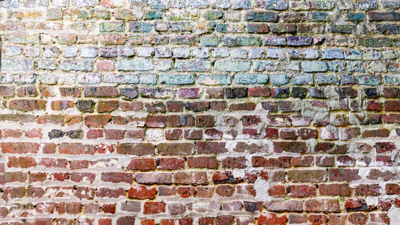 The Grunge Texture of an Old Brick Wall with Remnants of Lime and Mold ...