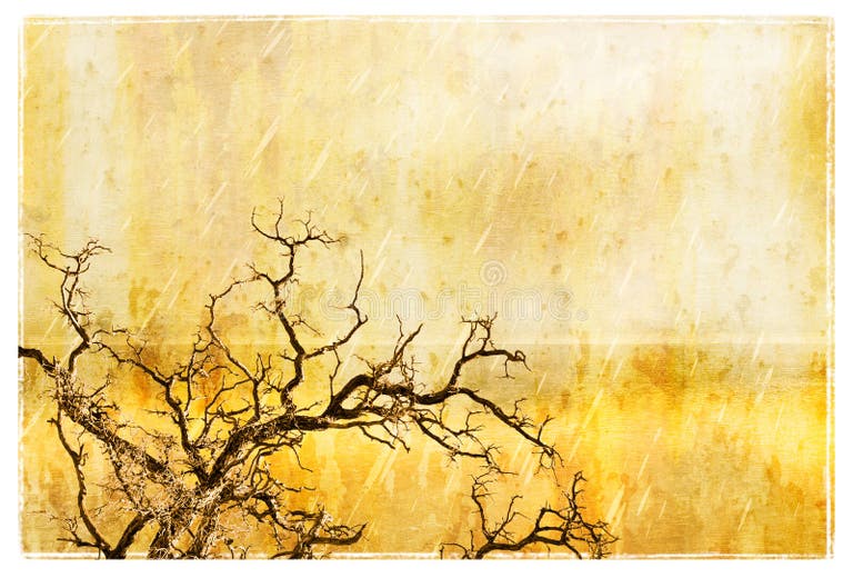 Oak Tree Collage Stock Illustrations – 632 Oak Tree Collage Stock ...