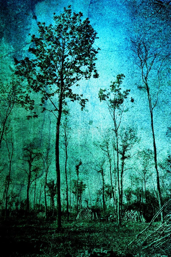 Grunge trees stock photo. Image of forest, noise, paint - 20564806