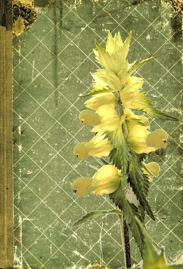 Grunge Vegetable Background Stock Image - Image of antique, abstract ...