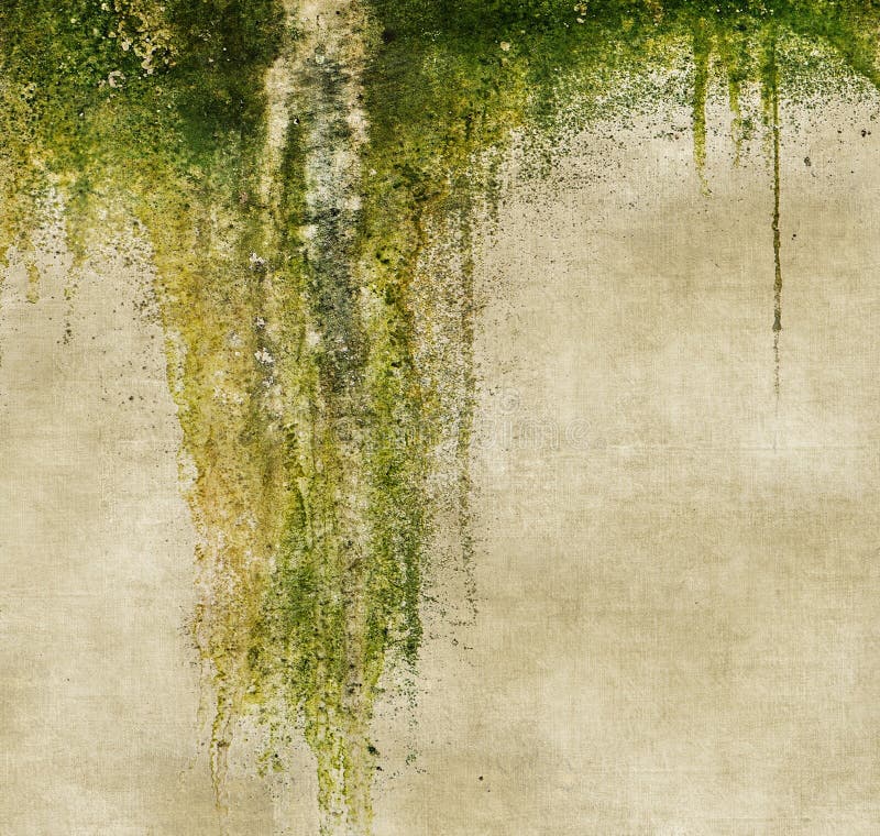 Dripping Moss Stock Illustrations – 6 Dripping Moss Stock Illustrations ...