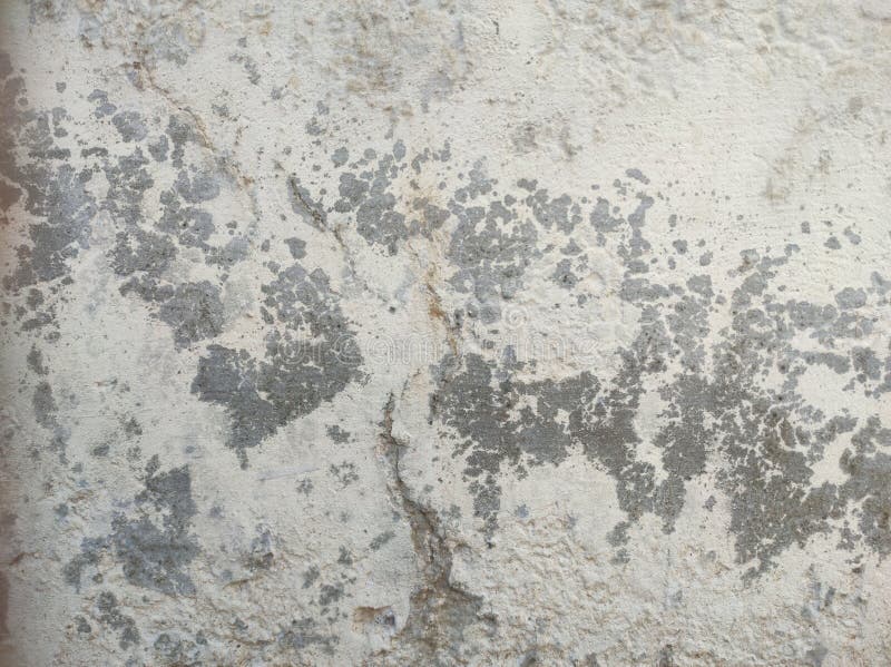 689 Crusty Wall Background Stock Photos - Free & Royalty-Free Stock ...