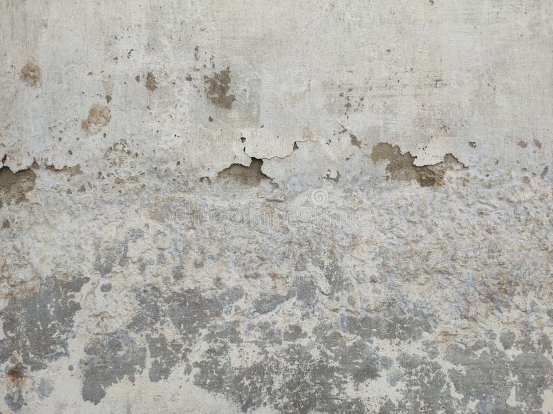 689 Crusty Wall Background Stock Photos - Free & Royalty-Free Stock ...