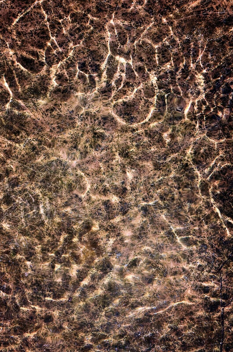 287 Watery Plain Stock Photos - Free & Royalty-Free Stock Photos from ...