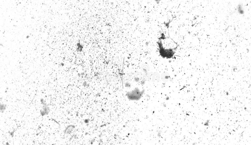 Grunge White Scratch Pattern. Monochrome Particles Abstract Texture ...
