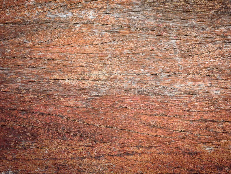 Grunge Wood Texture Background for Design Stock Image - Image of ...