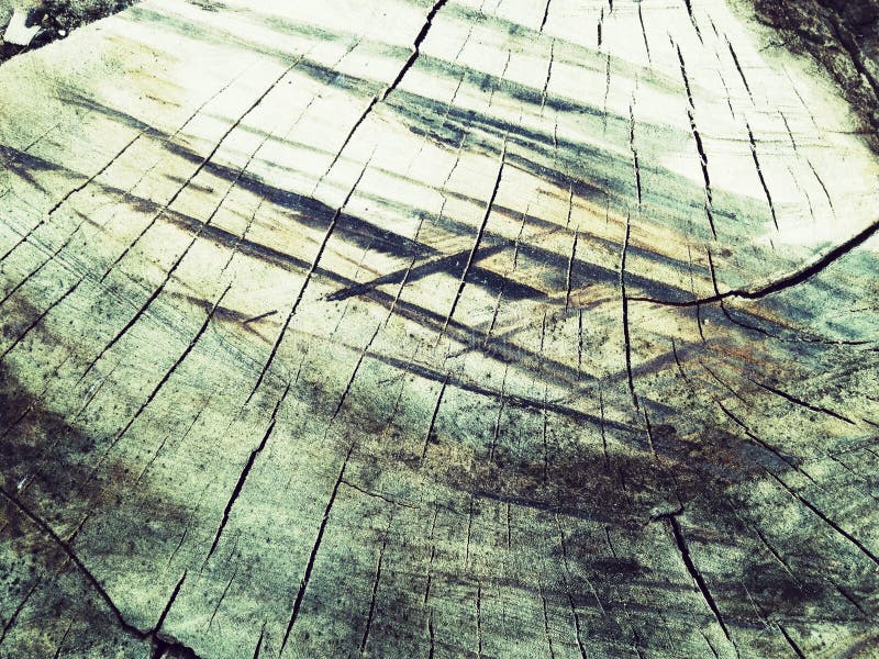 Grunge wood texture stock image. Image of material, abstract - 50470621