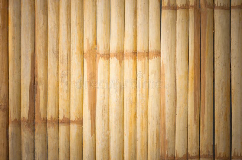 Grunge Yellow Bamboo Background and Texture Stock Photo - Image of ...