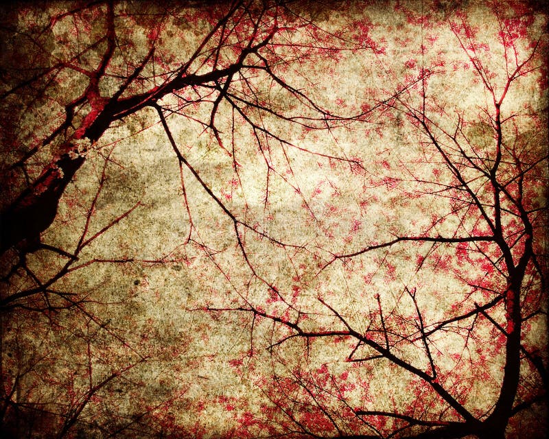 Color Tree Paint Splat Stock Photos - Free & Royalty-Free Stock Photos ...