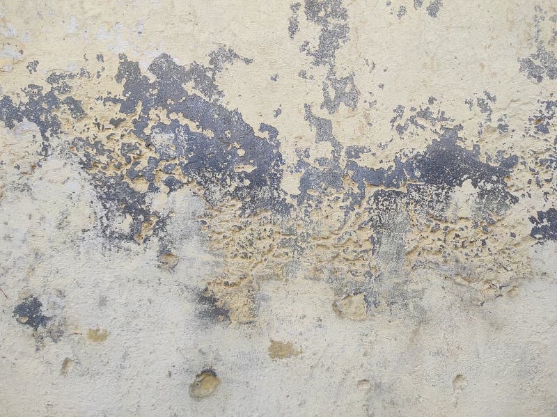 689 Crusty Wall Background Stock Photos - Free & Royalty-Free Stock ...