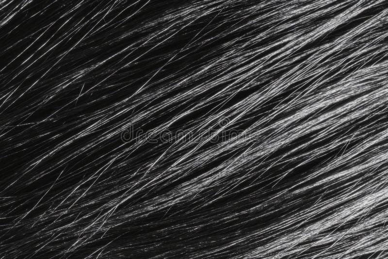 A Grungy Overlay Surface with a Dark Scratch Texture, Streaks, and an ...