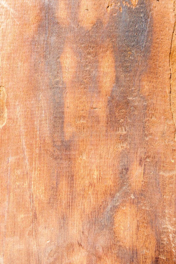 Grungy Panel Wood Texture, Use As Background. Stock Image - Image of ...