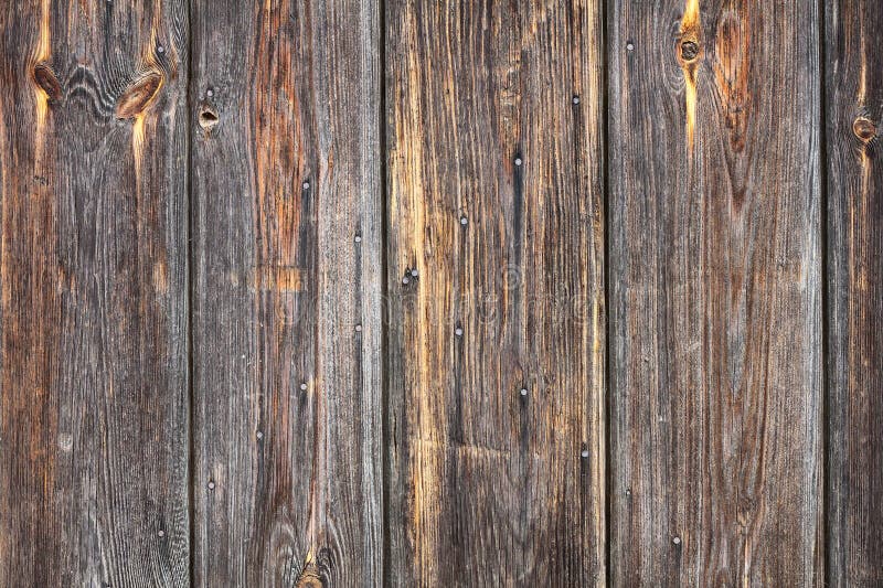 Grungy Real Spruce Wood Texture Stock Image - Image of board, grain ...