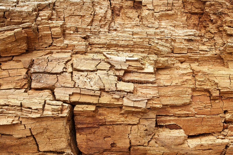 Grungy rotten wood texture stock image. Image of textured - 19208287