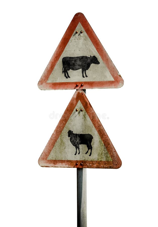 Grungy UK Cattle Warning Sign Stock Image - Image of countryside, metal ...