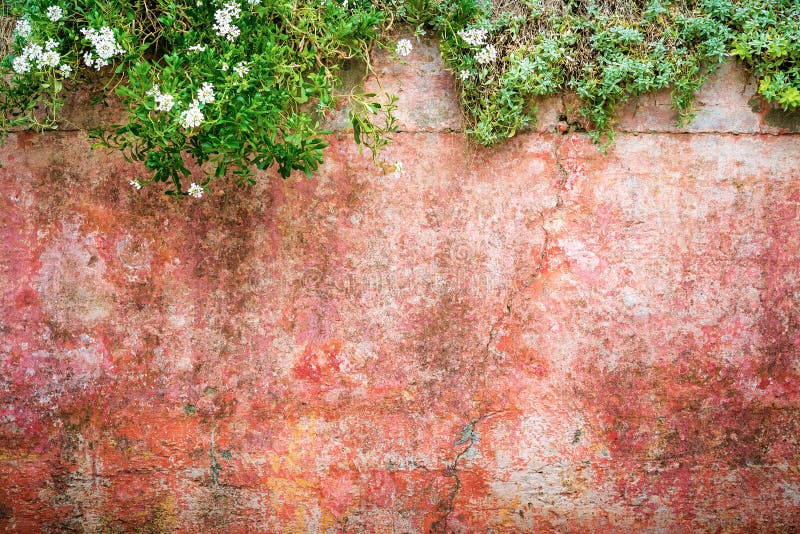 309 Gritty Border Stock Photos - Free & Royalty-Free Stock Photos from ...