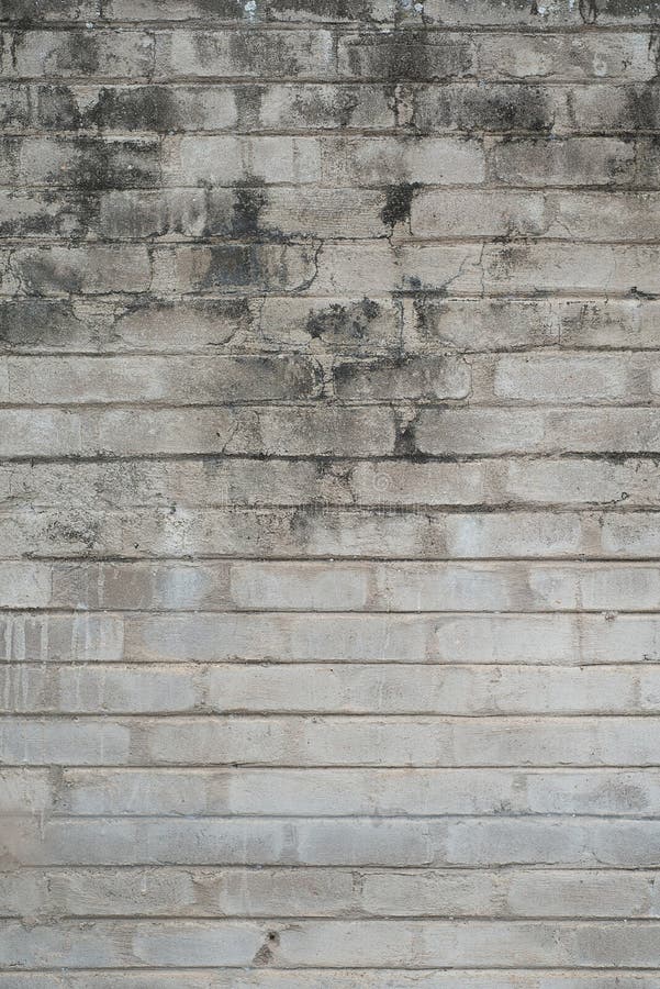 Grungy White Brick Wall with Black Moss Stock Photo - Image of building ...