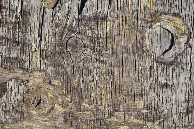 Grungy Wood Background Texture Stock Photo - Image of hardwood, swirl ...