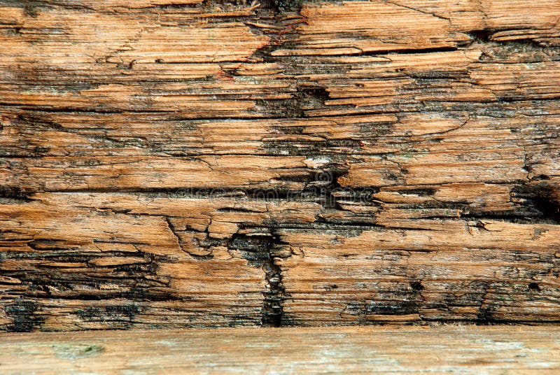 Grungy wood Texture stock photo. Image of closeup, desk - 42728134