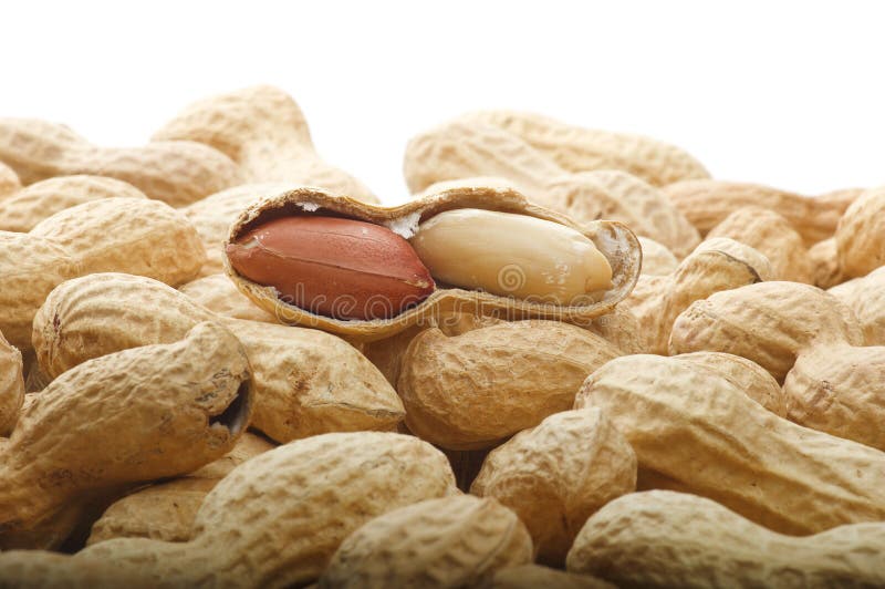 Grupa arachidy obraz stock. Obraz złożonej z natura, otwarty - 78751345