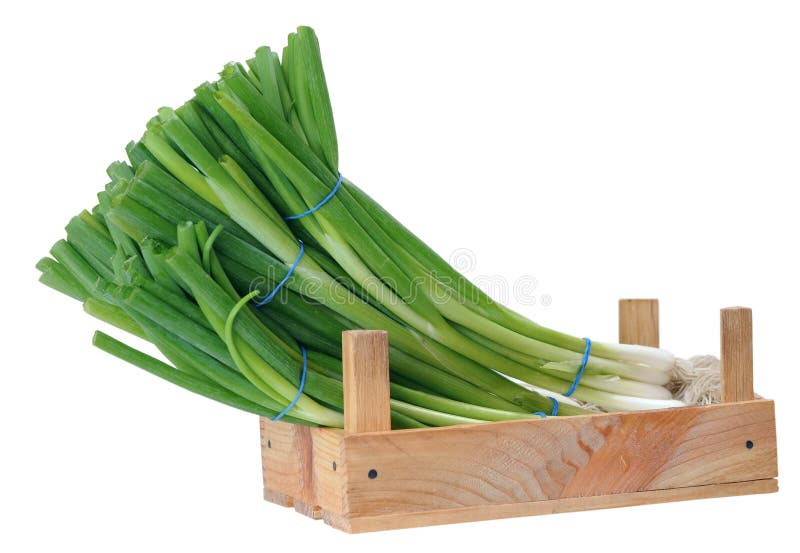 Grupo Da Cebola Verde Na Caixa Foto de Stock - Imagem de erva, comer ...