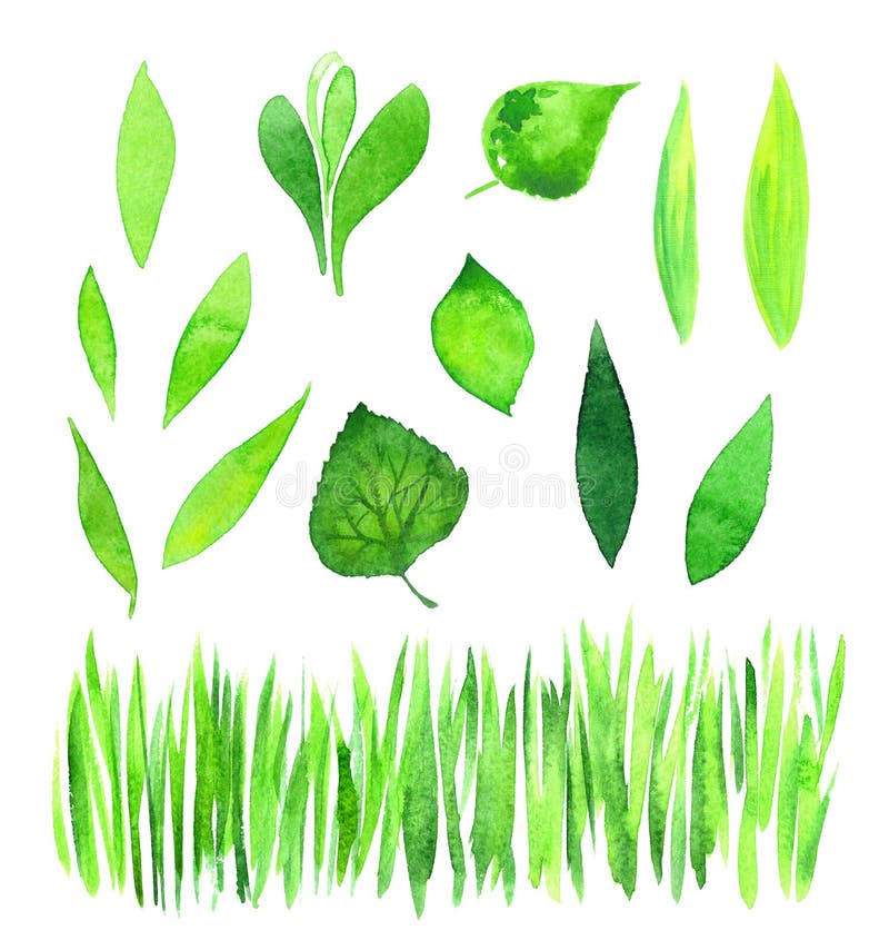 Grupo Da Aquarela De Plantas Verdes Ilustração Stock - Ilustração de ...