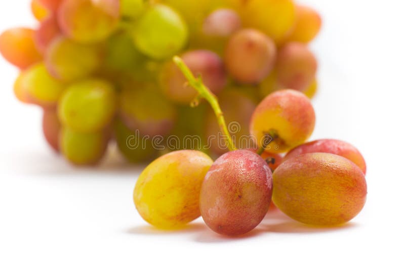 Suco De Fruto Da Uva Vermelha Do Rubi Foto de Stock - Imagem de vodca ...
