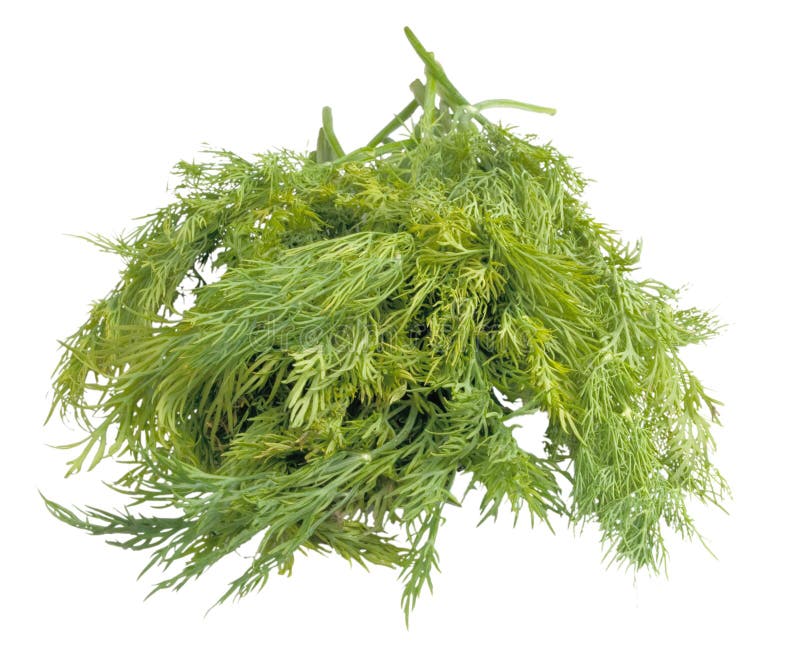Grupo do aneto imagem de stock. Imagem de isolado, branco - 19888799