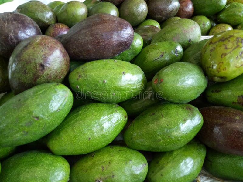 Grupo do fruto de abacate foto de stock. Imagem de abacate - 97450482