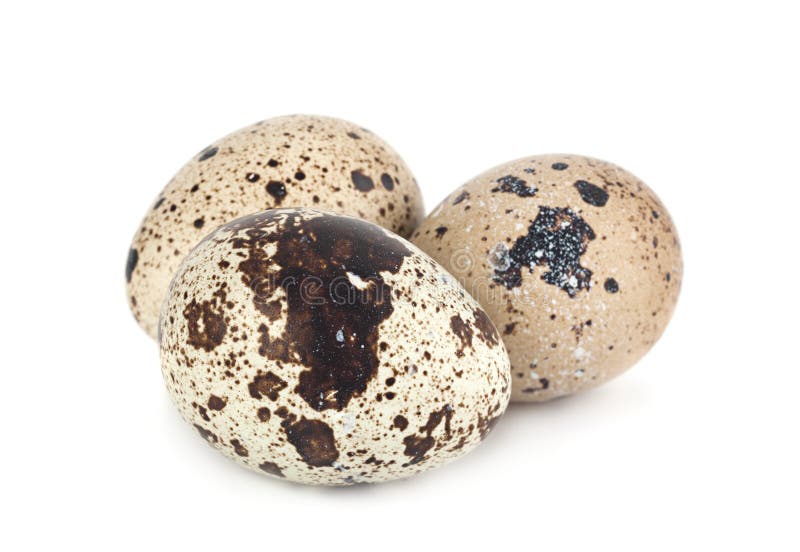 Grupo do ovo de codorniz imagem de stock. Imagem de gourmet - 62340371