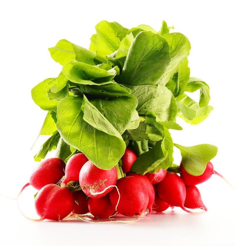 Grupo Do Rabanete No Branco Foto de Stock - Imagem de vegetais ...