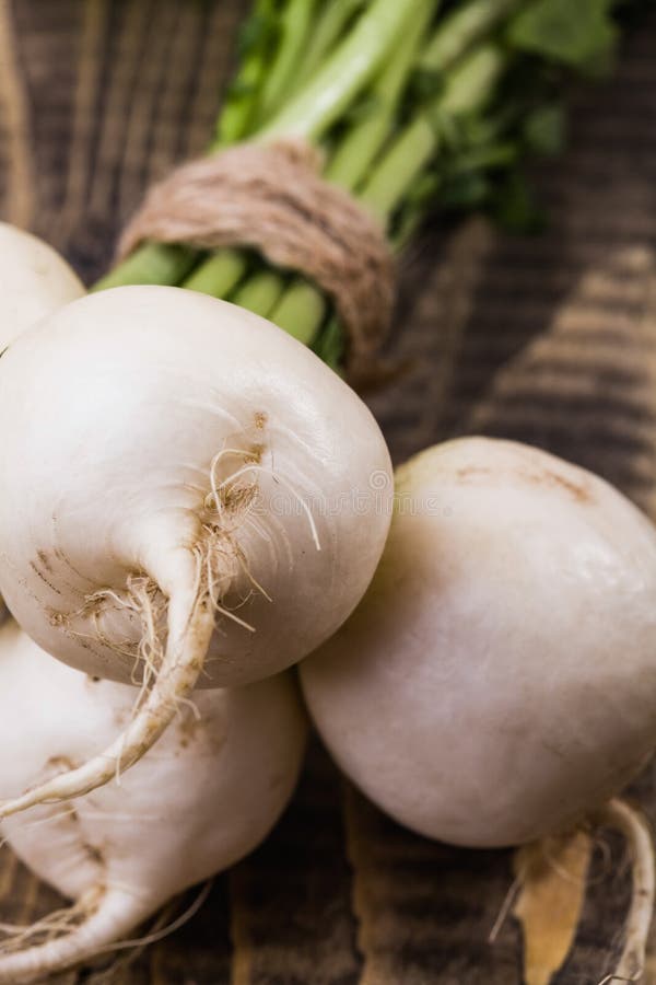 Grupo dos nabos foto de stock. Imagem de nutritivo, folhas - 65015662