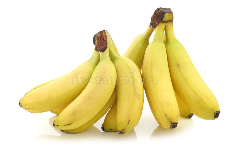 Grupo Das Mini Bananas Servidas Na Palmeira Imagem de Stock - Imagem de ...