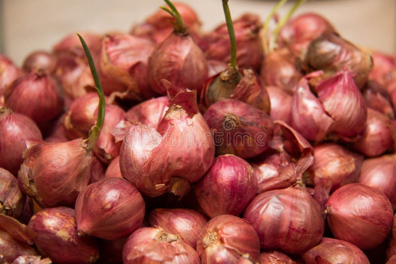 Grupo grande de chalotes foto de archivo. Imagen de vegetariano - 67083822