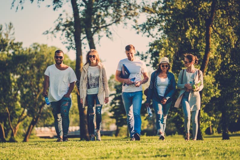 Grupo Multi-étnico De Amigos En Un Parque Foto de archivo - Imagen de ...