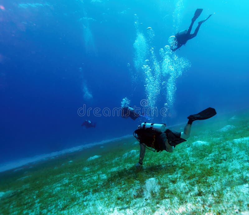 Dykare near havsbotten fotografering för bildbyråer. Bild av askfat ...